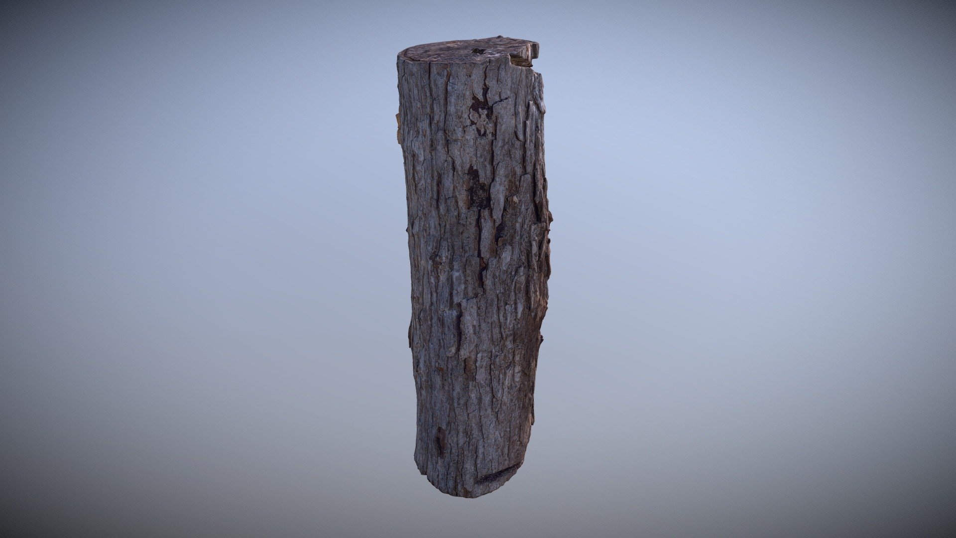 Cross Polarized Log Scan Test - 3D model by Baldinoboy [1529001 ...
