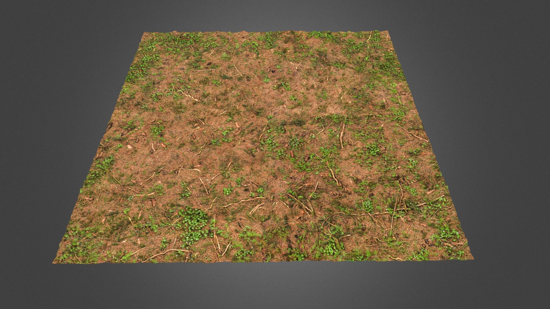 Forest Ground IV - 3D model by ProjectNature [152a16e] - Sketchfab