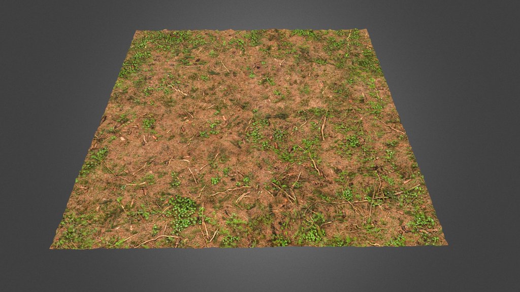 coniferous Forest Ground Materials - A 3D model collection by ...