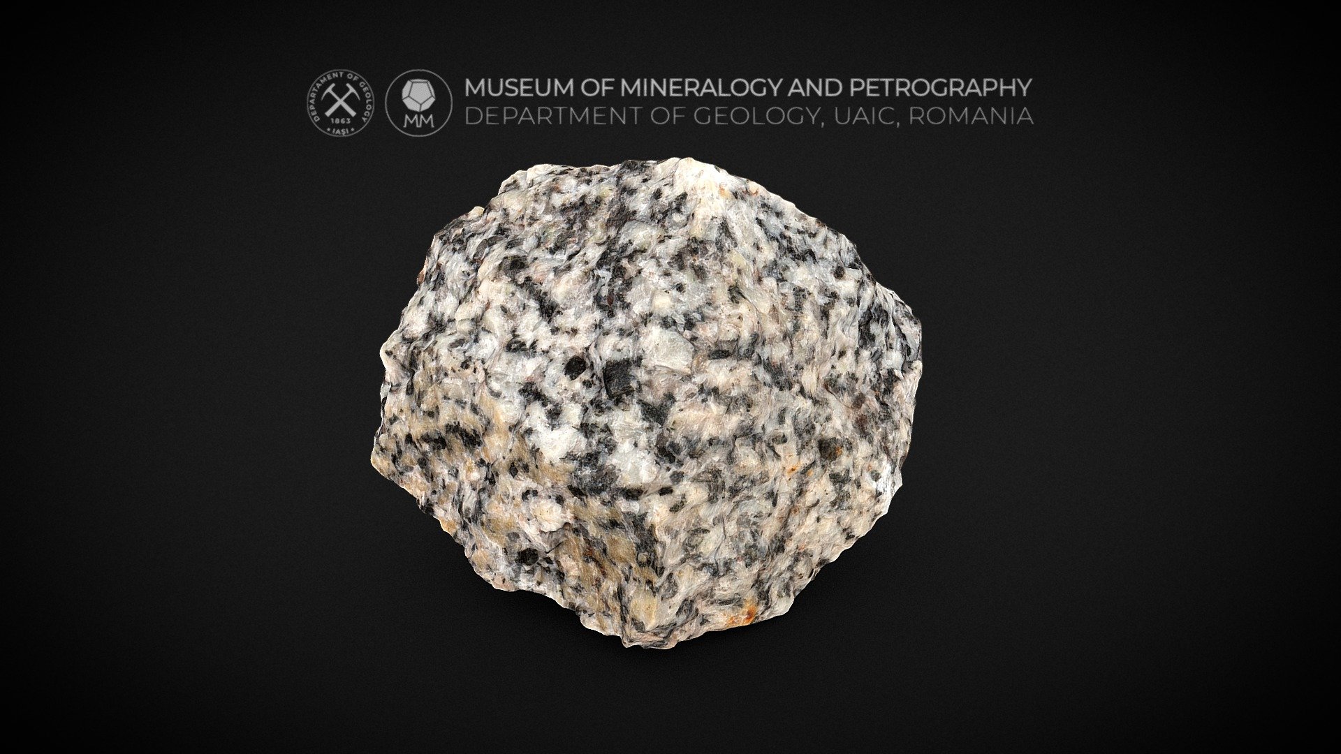 Granodiorite (igneous rock), France - 3D model by Museum of Mineralogy ...
