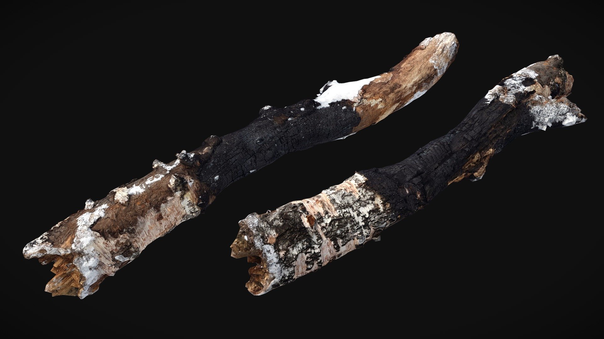 Burned Tree Branch - Buy Royalty Free 3D model by gamewarming [15363a7 ...