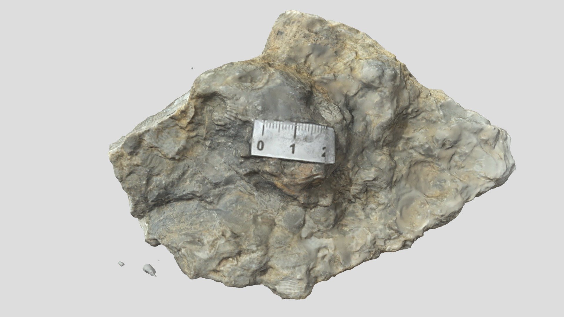 Rudstone 2 - Download Free 3D model by Labortoriogeociencias [1536c40 ...