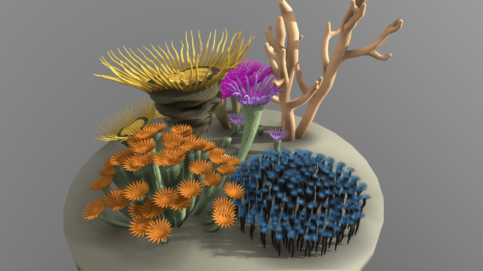 Rugose corals - Buy Royalty Free 3D model by Paleobiome [153ac6c ...