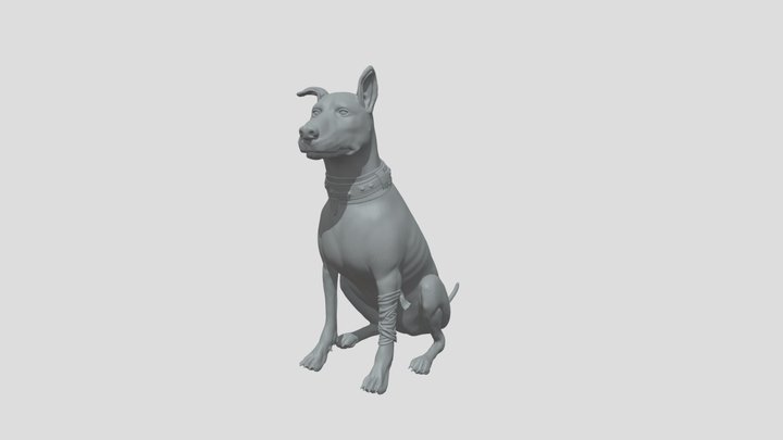 Pitbull 3D models - Sketchfab