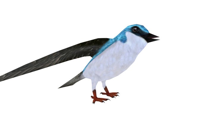 Small-bird 3D models - Sketchfab