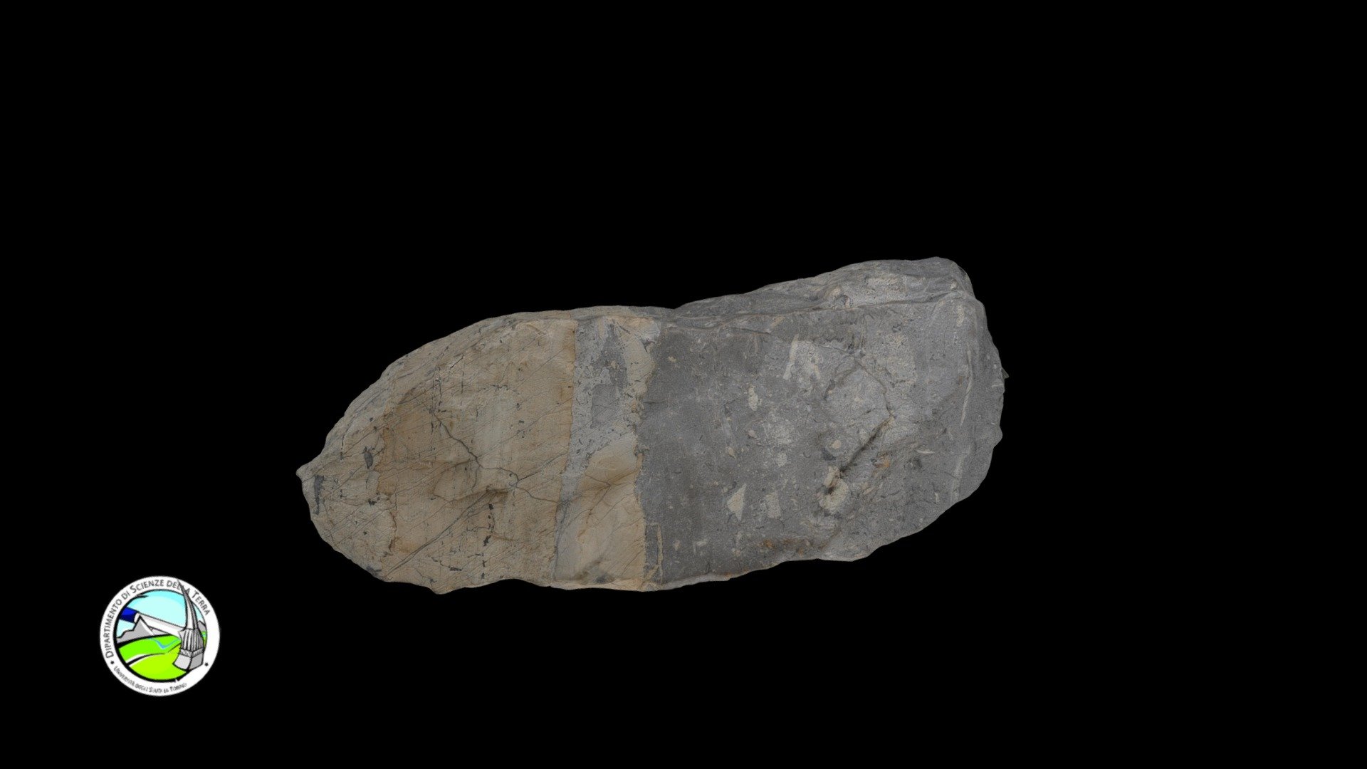 Dolomia / Floatstone ad intraclasti - 3D model by Dipartimento di ...