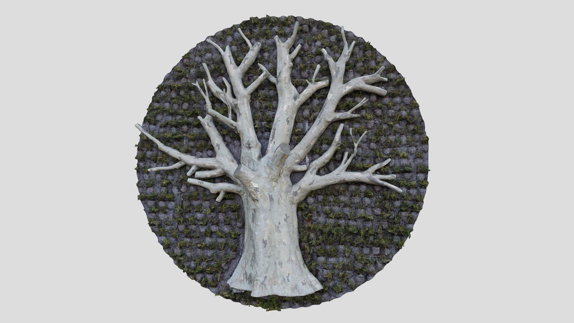 Tree Made of Concrete - Buy Royalty Free 3D model by ScanLife [154b529 ...