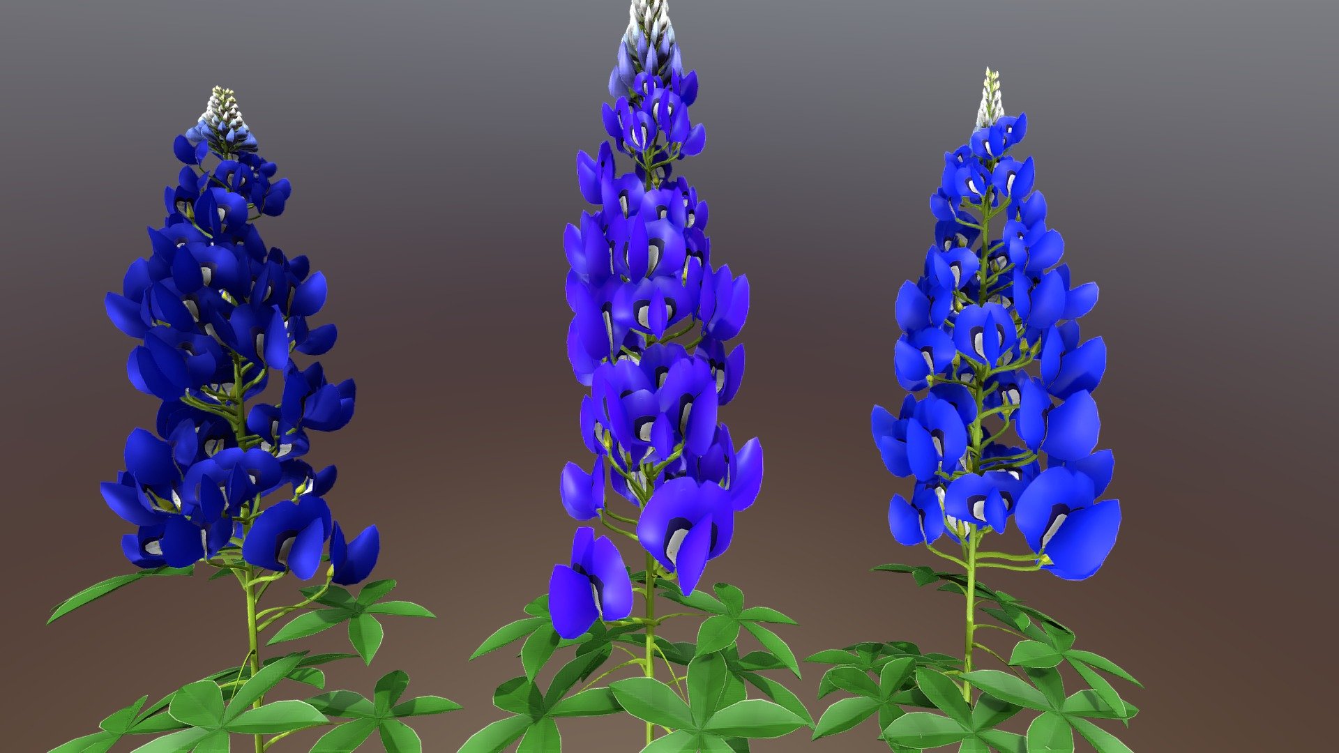 Bluebonnet Stylized - 3D model by jou [154eeb4] - Sketchfab
