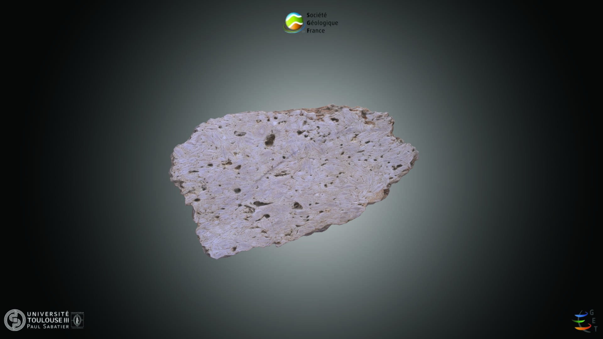 Roche - Calcaire à nummulites - Download Free 3D model by Société ...