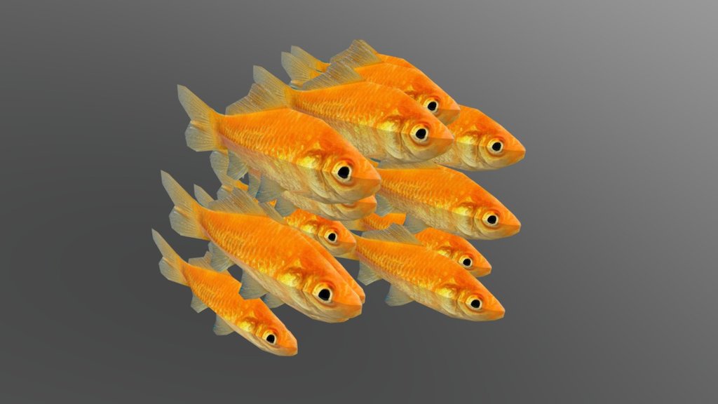 Cardume Dourado - 3D model by pauloscussel [156728f] - Sketchfab