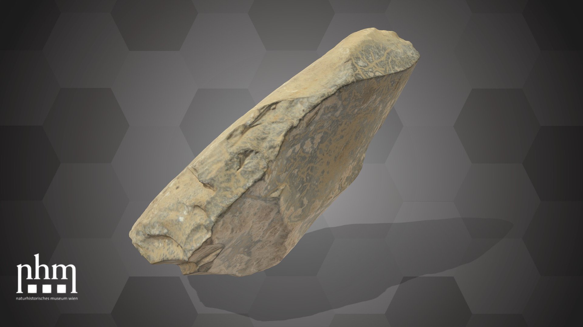 Core (NHMW-Prae 44.576) - Download Free 3D model by Natural History ...