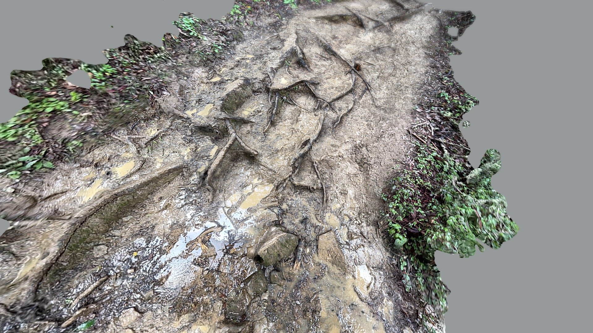 52: Trail - Download Free 3D model by macdo219 [156d0a7] - Sketchfab