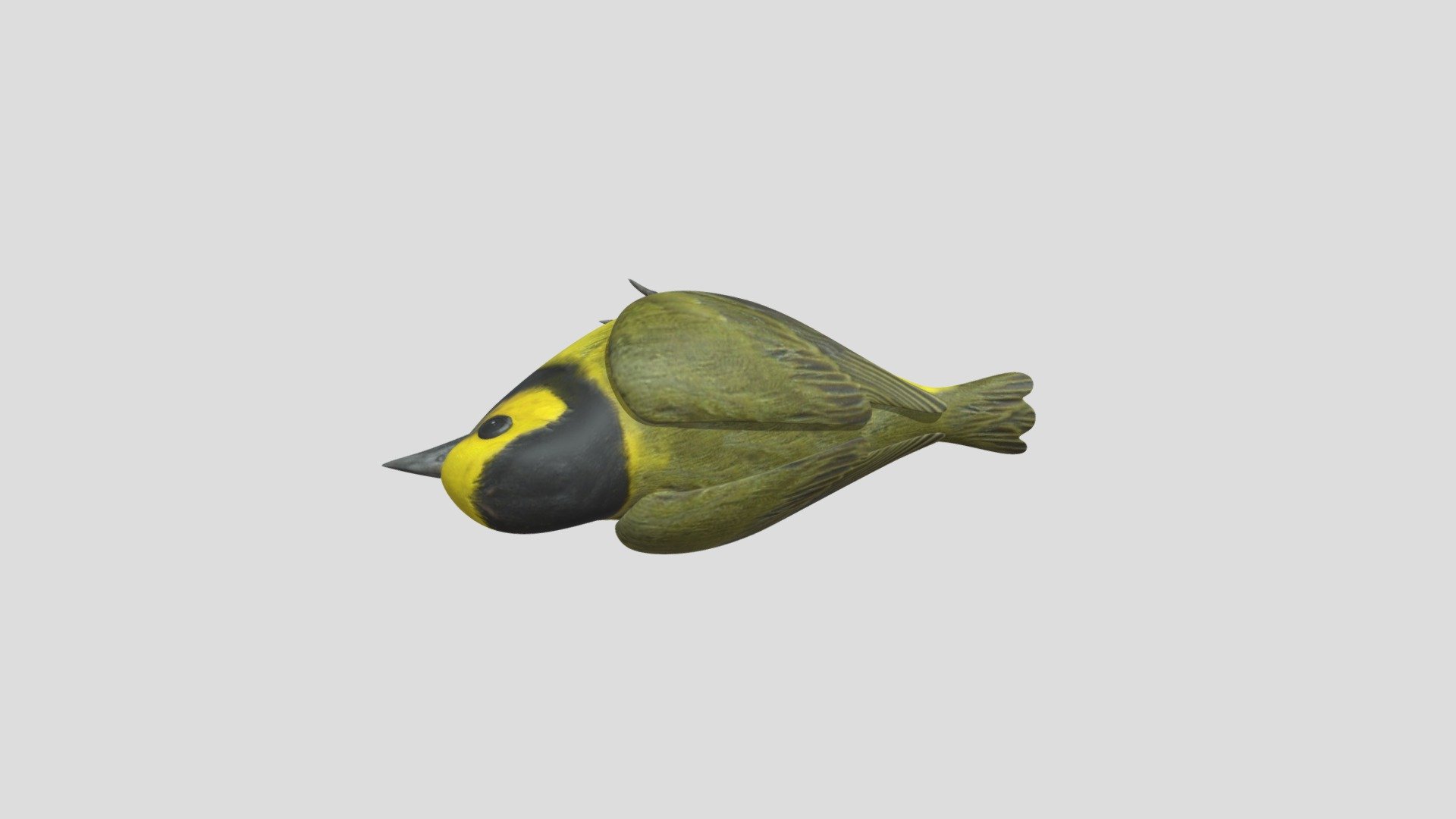 Bird V2 - Download Free 3D model by antwan11 [156f1ae] - Sketchfab