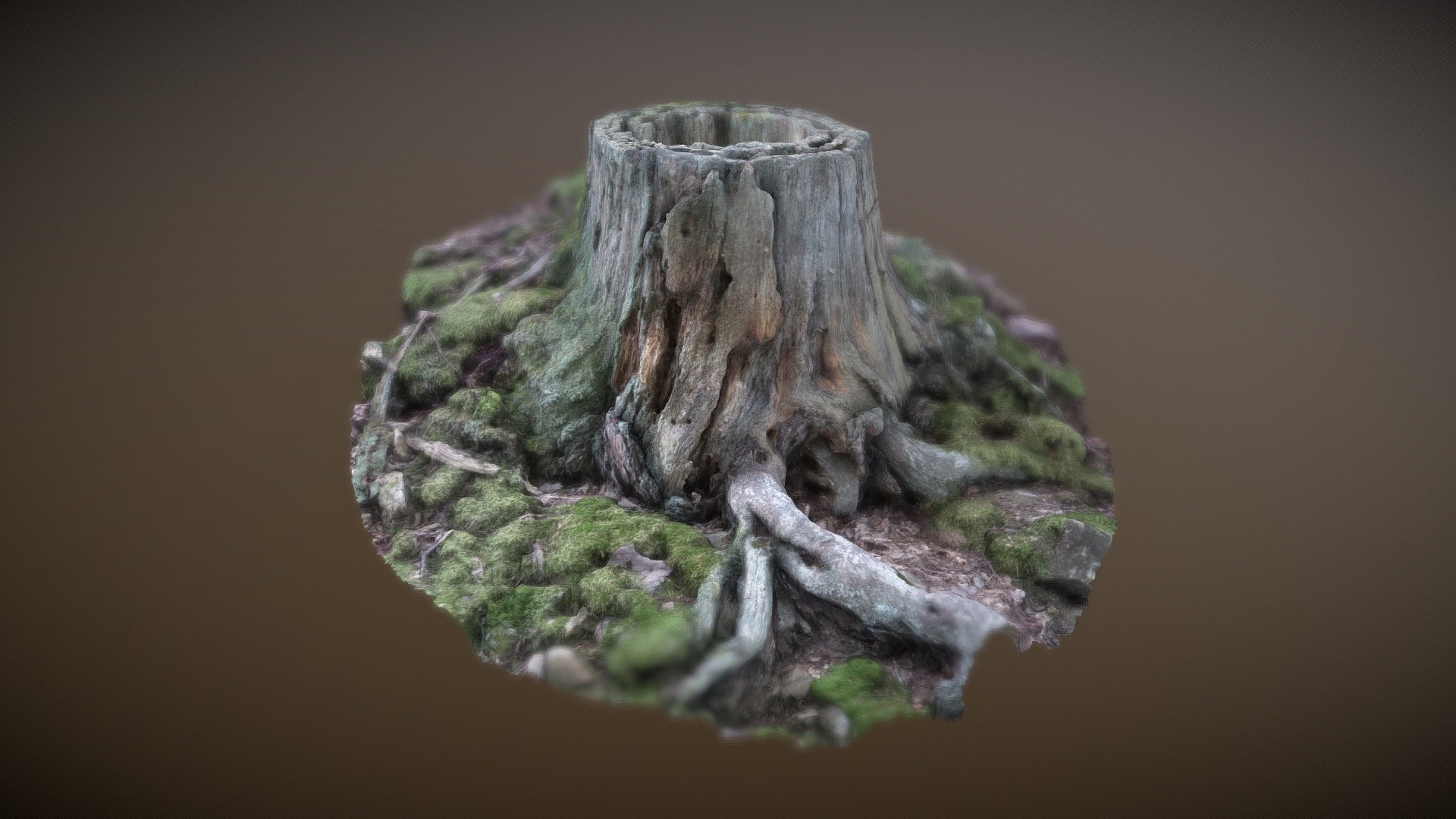 Stump - Download Free 3D model by Dreix [157939b] - Sketchfab