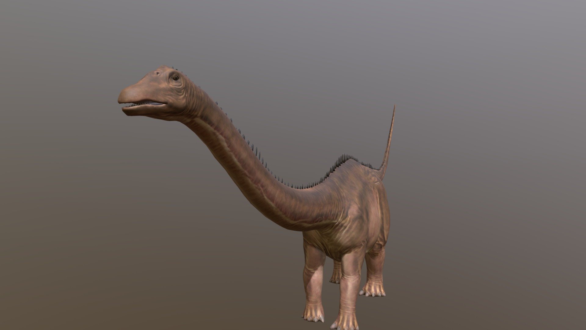 Diplodocus - Download Free 3D model by kenchoo [157b9b7] - Sketchfab