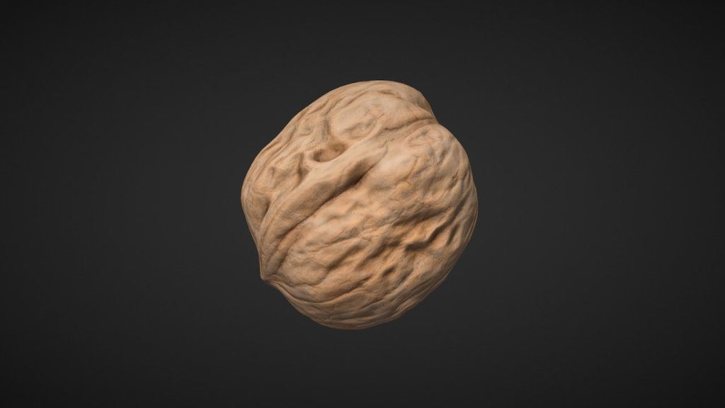 Nuss - 3D model by Philipp (@vis-werk) [15822f3] - Sketchfab