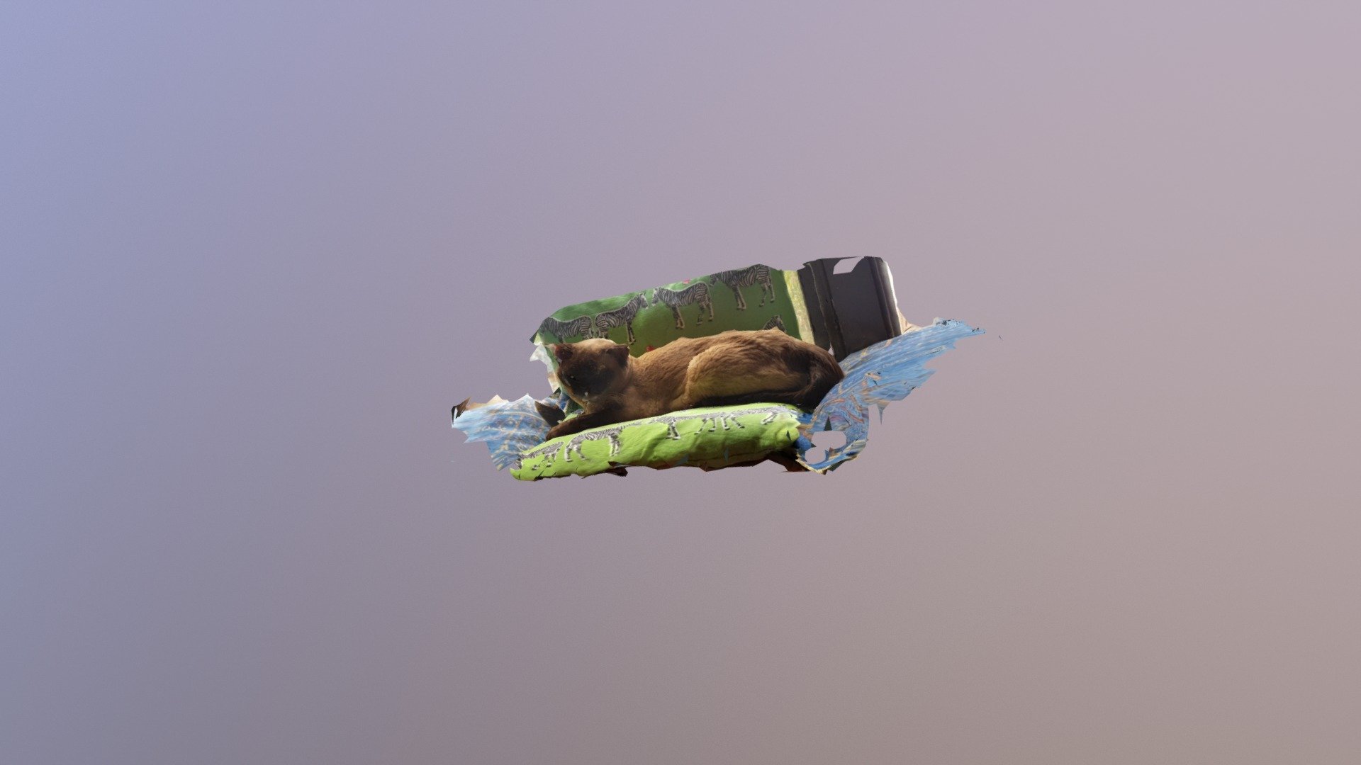 3D Photo Scan_Cat Attempt - 3D model by hatgremlin [159170f] - Sketchfab