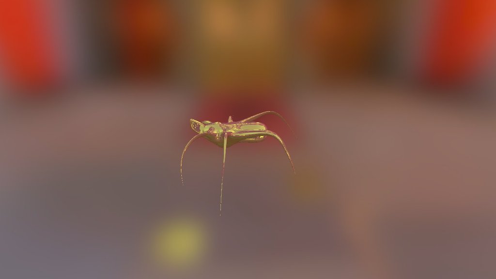 cone insect - 3D model by emilos [1594ba5] - Sketchfab