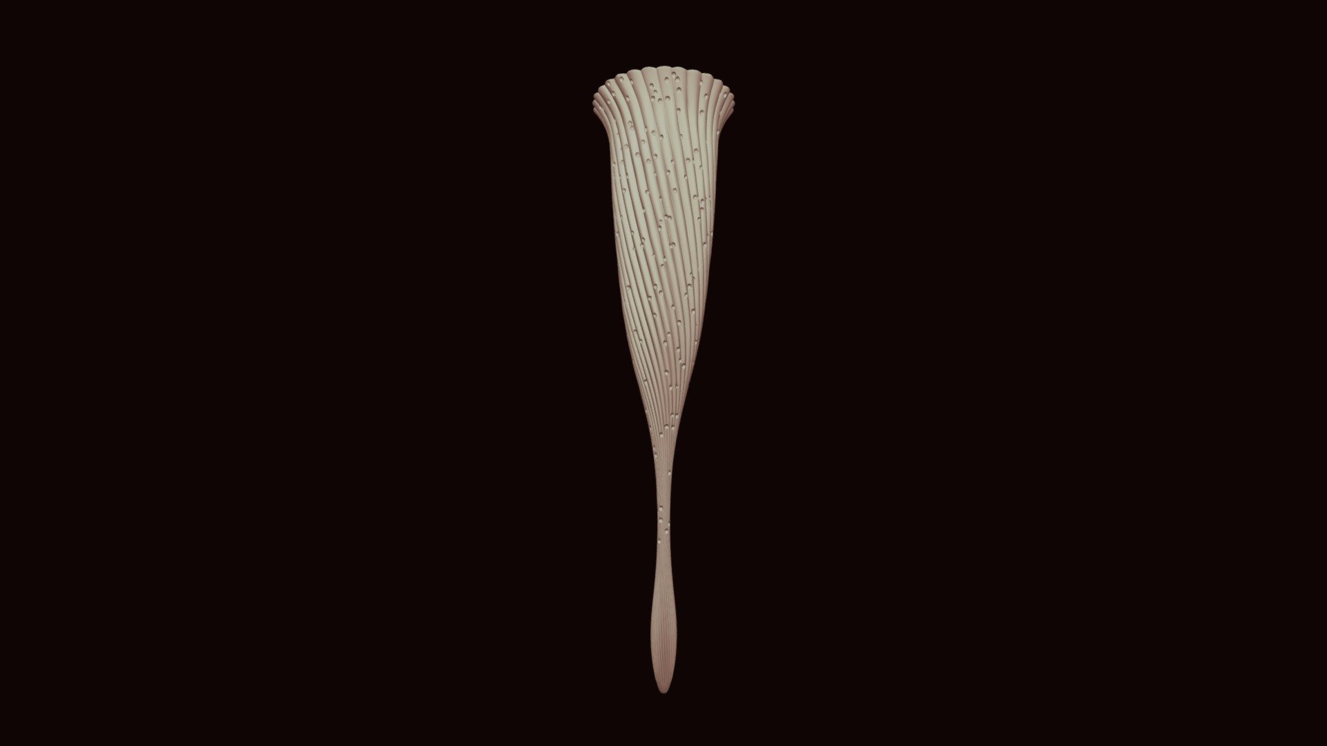Rhabdonella elegans Jörgensen, 1924 - MODEL - 3D model by TheRLab ...