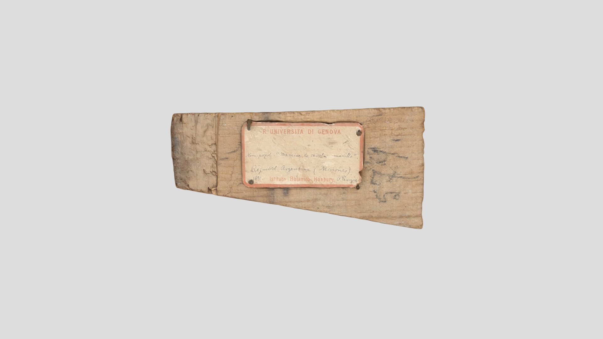 Wood Collection, Xylarium sample #20 - 3D model by SMA-UniGe [15a7cd3 ...