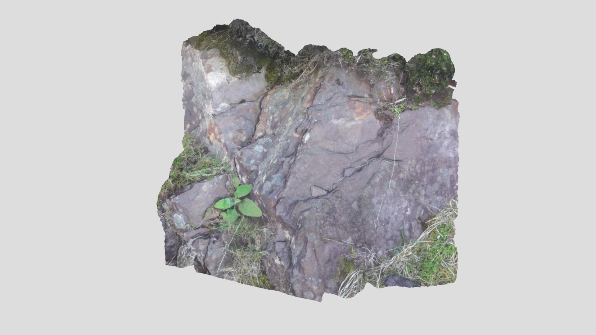 Red shale - Download Free 3D model by DrSadhbh [15a9905] - Sketchfab