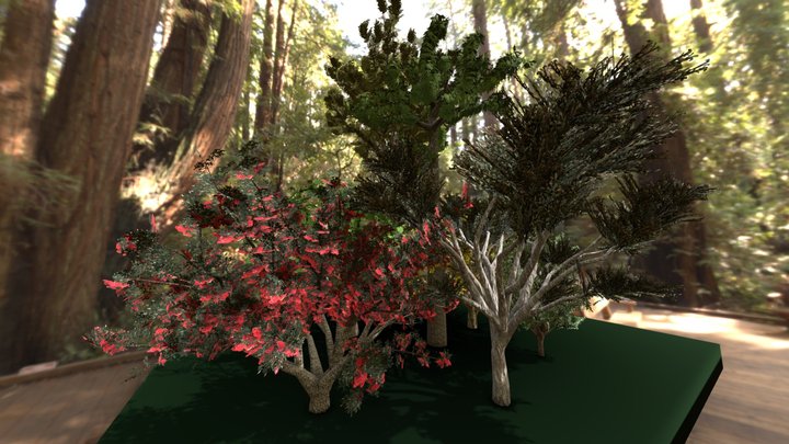 Manuka 3D models - Sketchfab