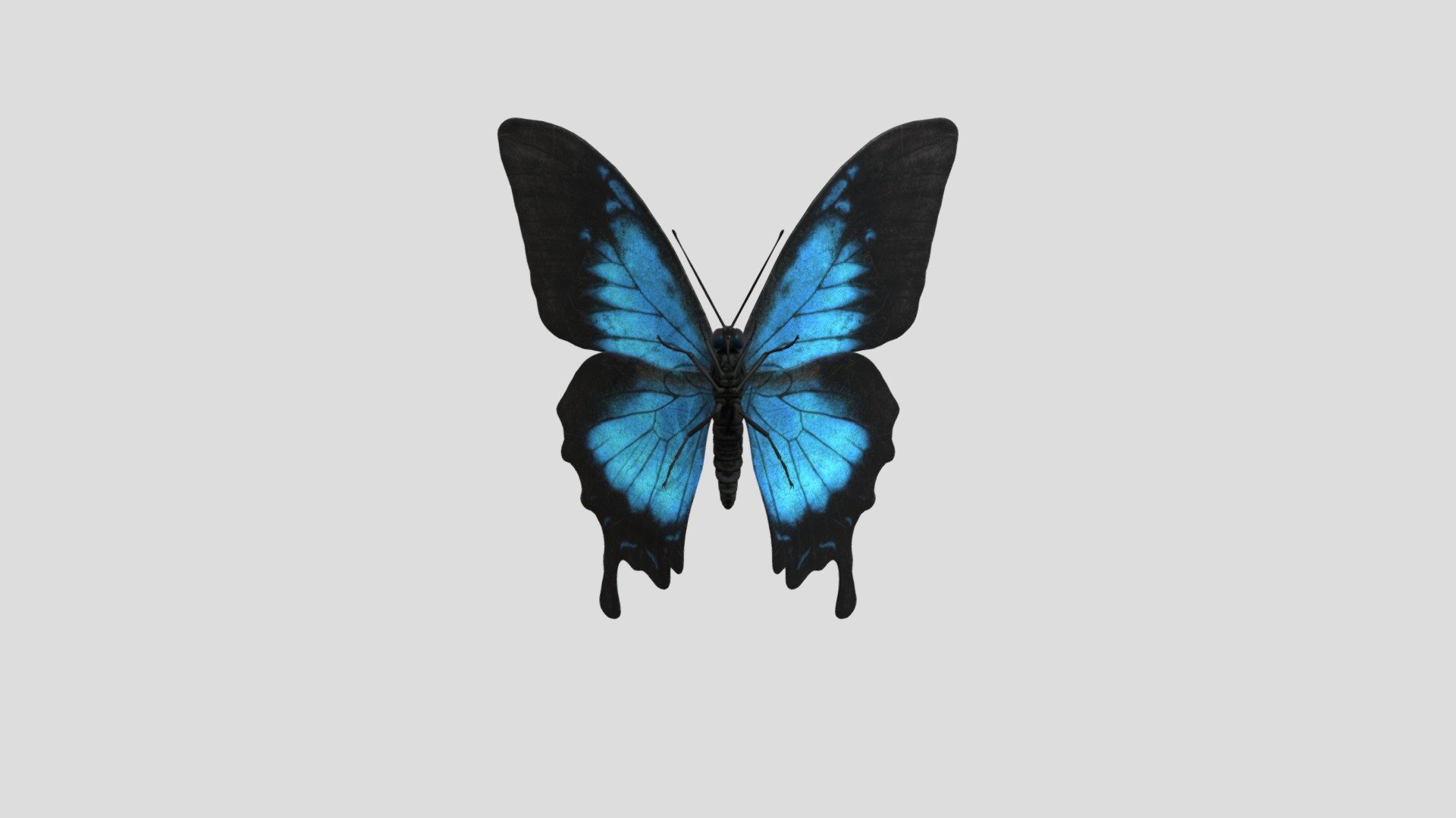 Kupu-Kupu - 3D model by Yuliza Perdana Putri (@yuliza) [15bb33e] - Sketchfab