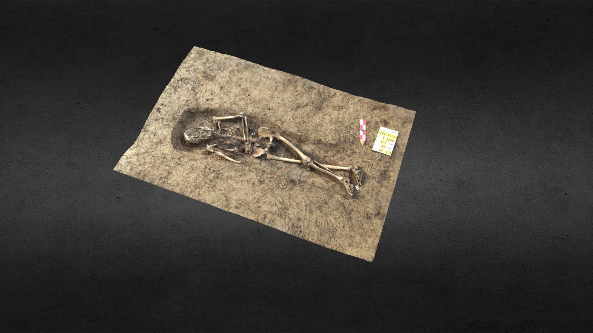 ZAV D35 - obj 371 - 3D model by Centre of field archaeology of KARCH FF UHK (@ceta-karch-ff-uhk ...