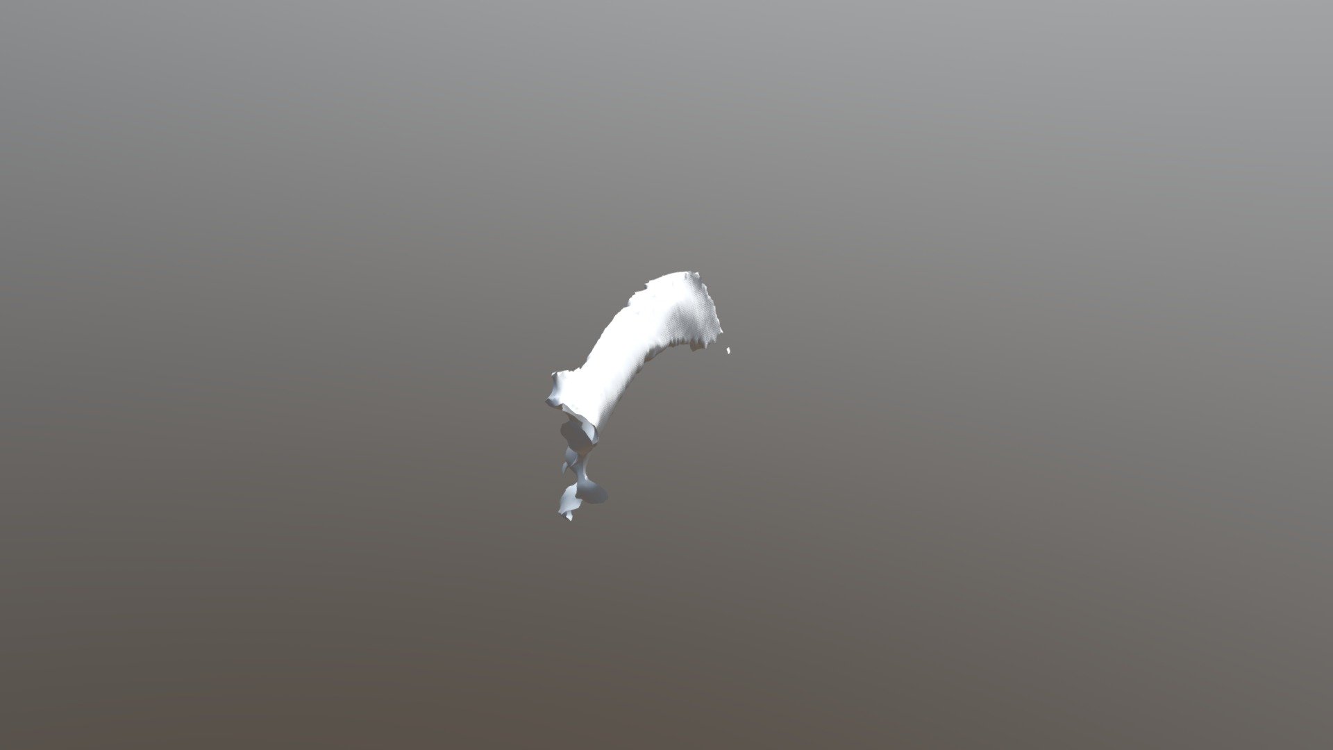 Passenger Pigeon Right Scapula (VCU_3D_788) - Download Free 3D model by ...