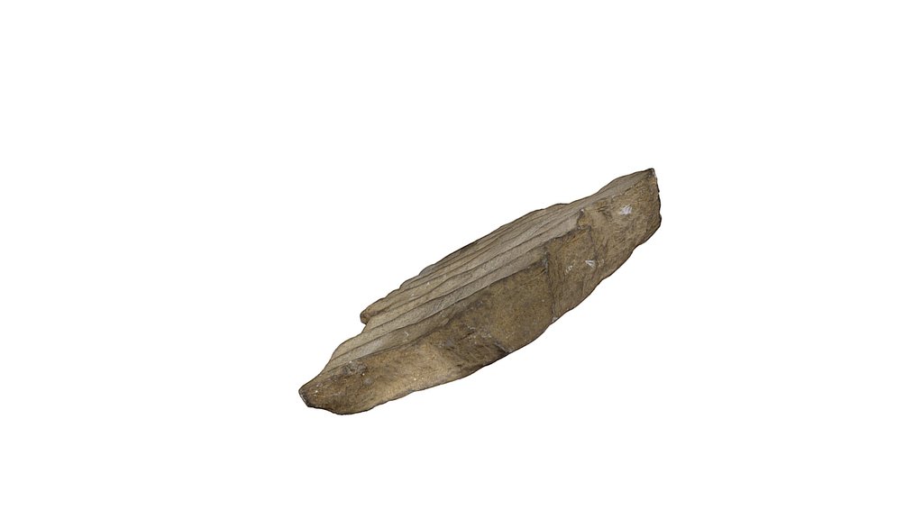 GEOL 102 Sed Structure Samples - A 3D model collection by ...