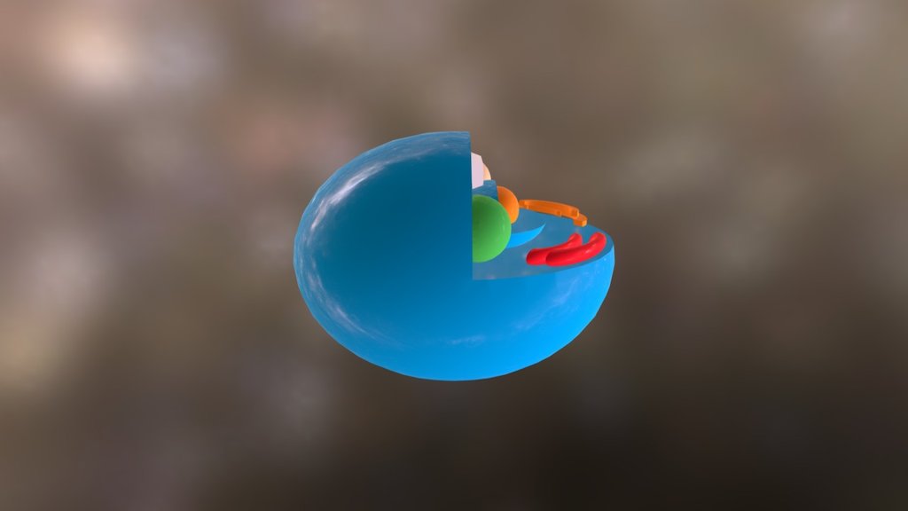 cell - 3D model by 18andre.g [15e5720] - Sketchfab