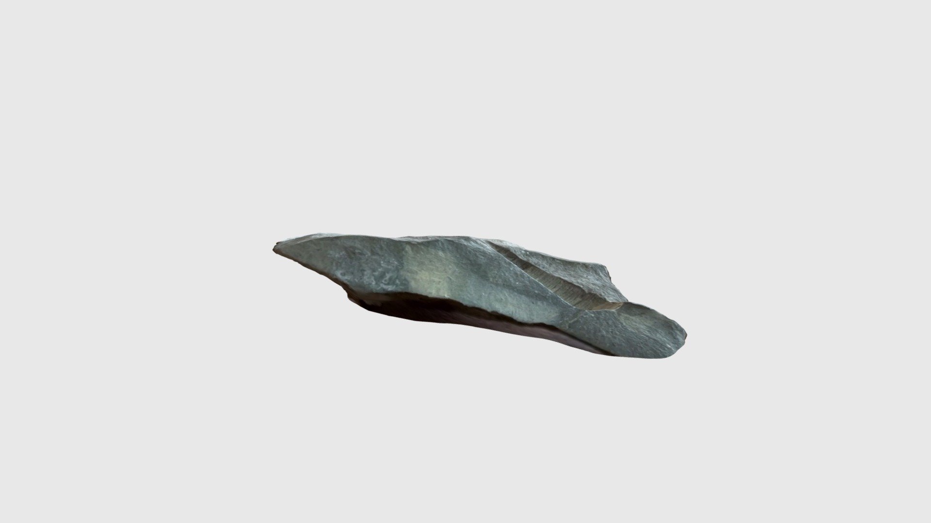 Fossilization Example Gastropod External Mold - Download Free 3D model ...