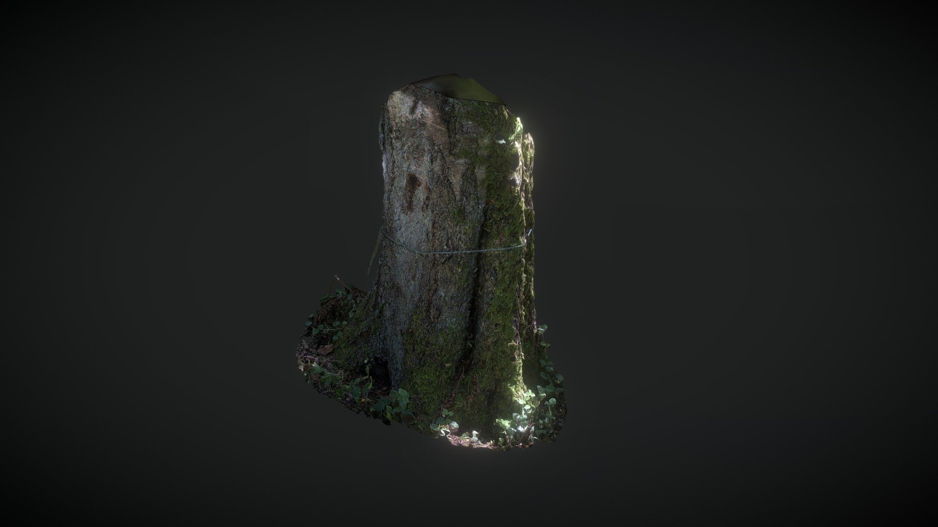 treebase - 3D model by swanseamad [15e78e1] - Sketchfab