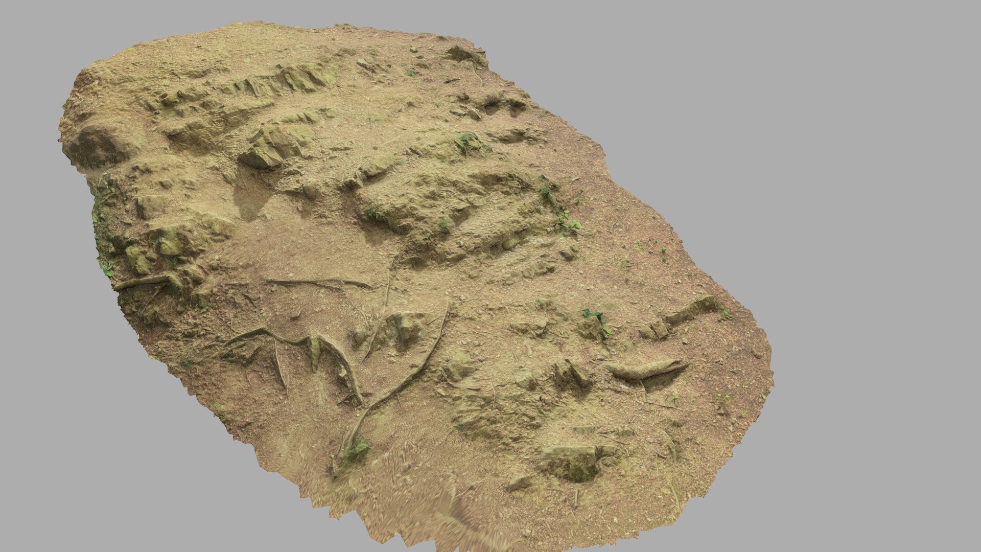 Ground Slope Rocky Forest Scan - Download Free 3D model by Pers Scans ...