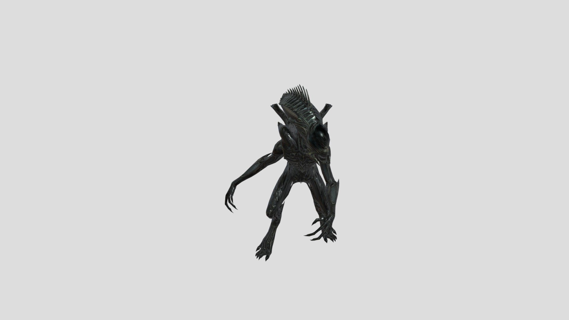 xeno_raven (1) - 3D model by bshughe1 [15fc266] - Sketchfab