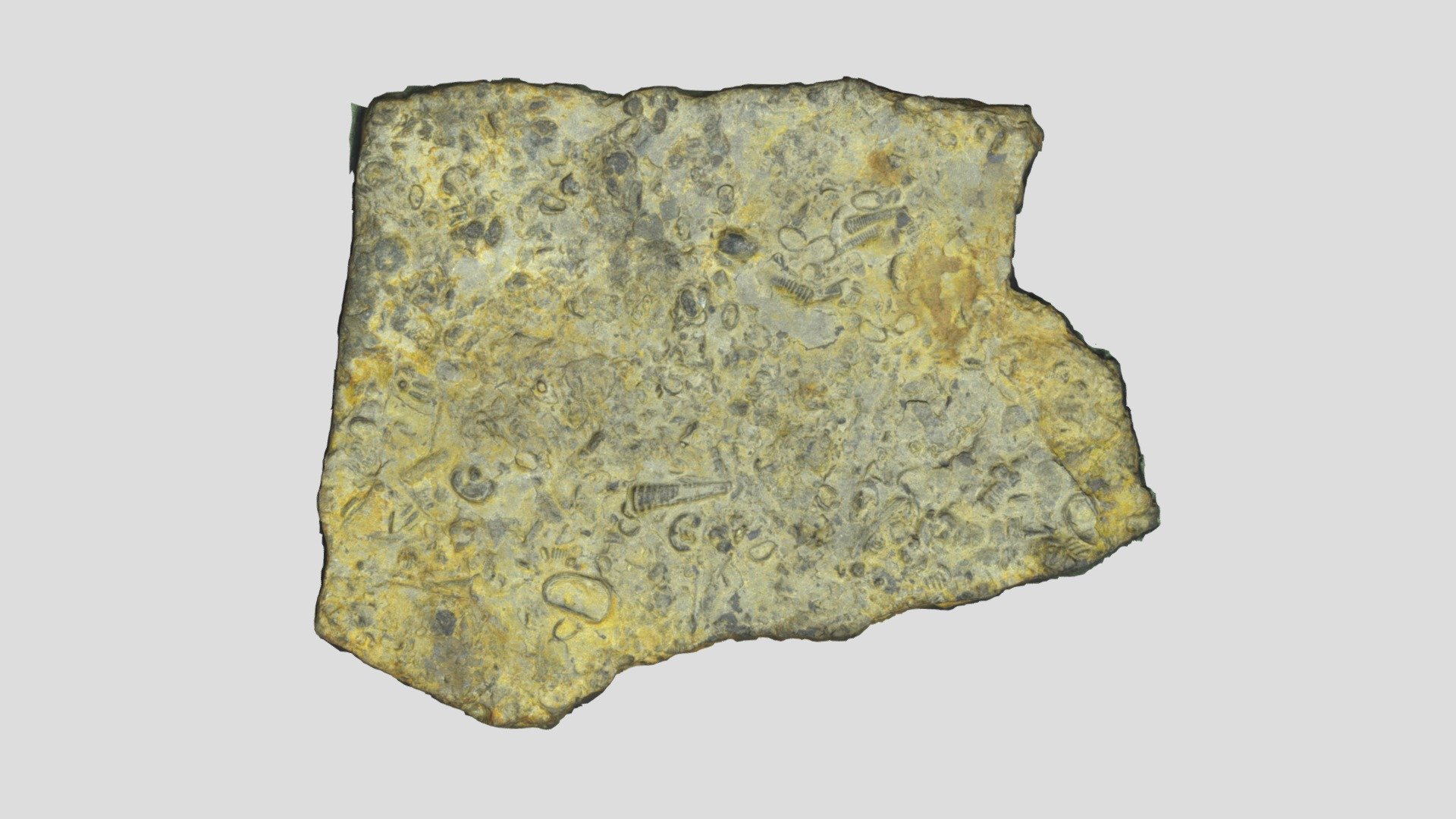 New sample - 3D model by Marko Vrabec (@okram) [15fd012] - Sketchfab