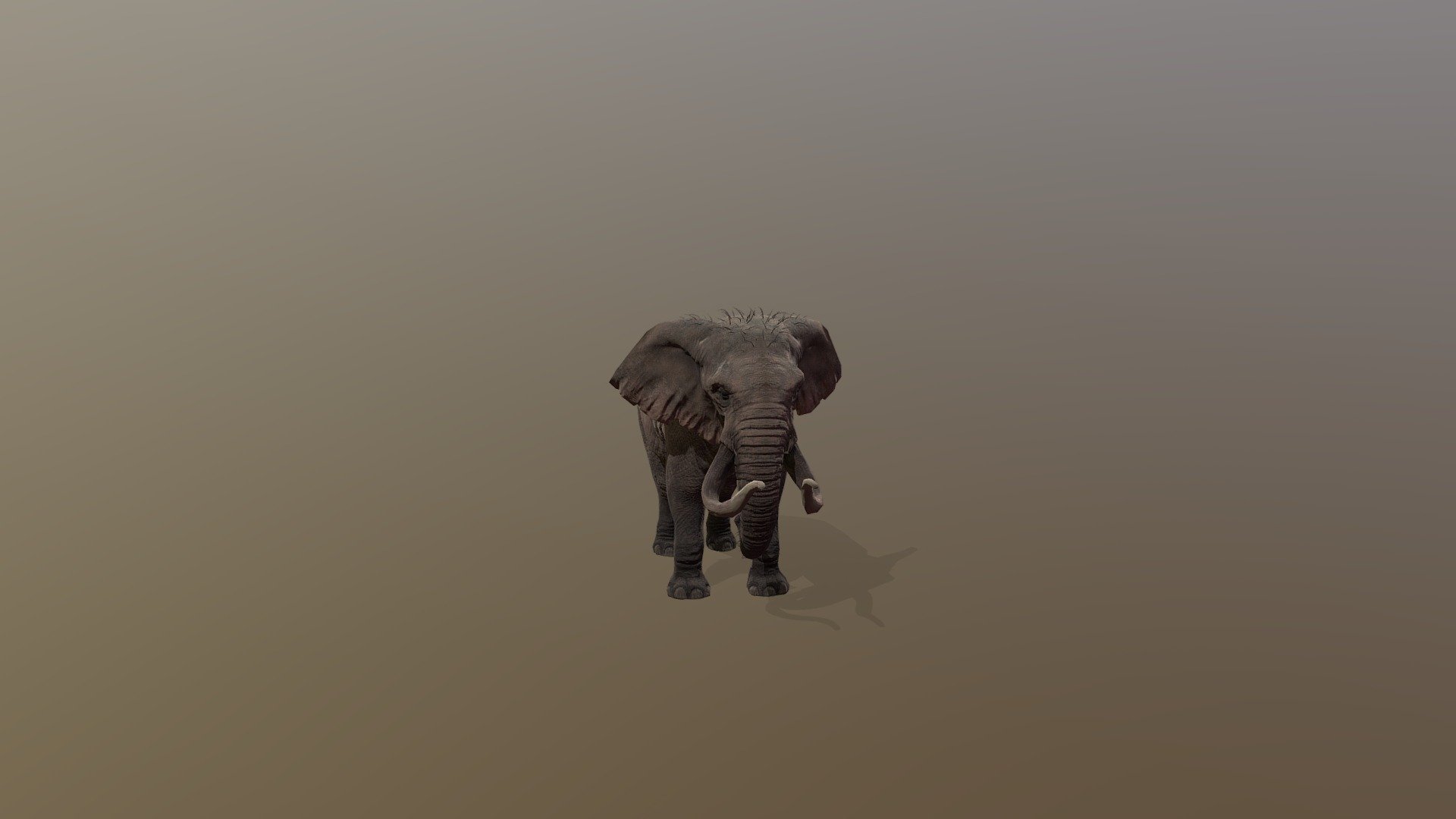 Elephant - Download Free 3D model by Sandeep Kakani ...