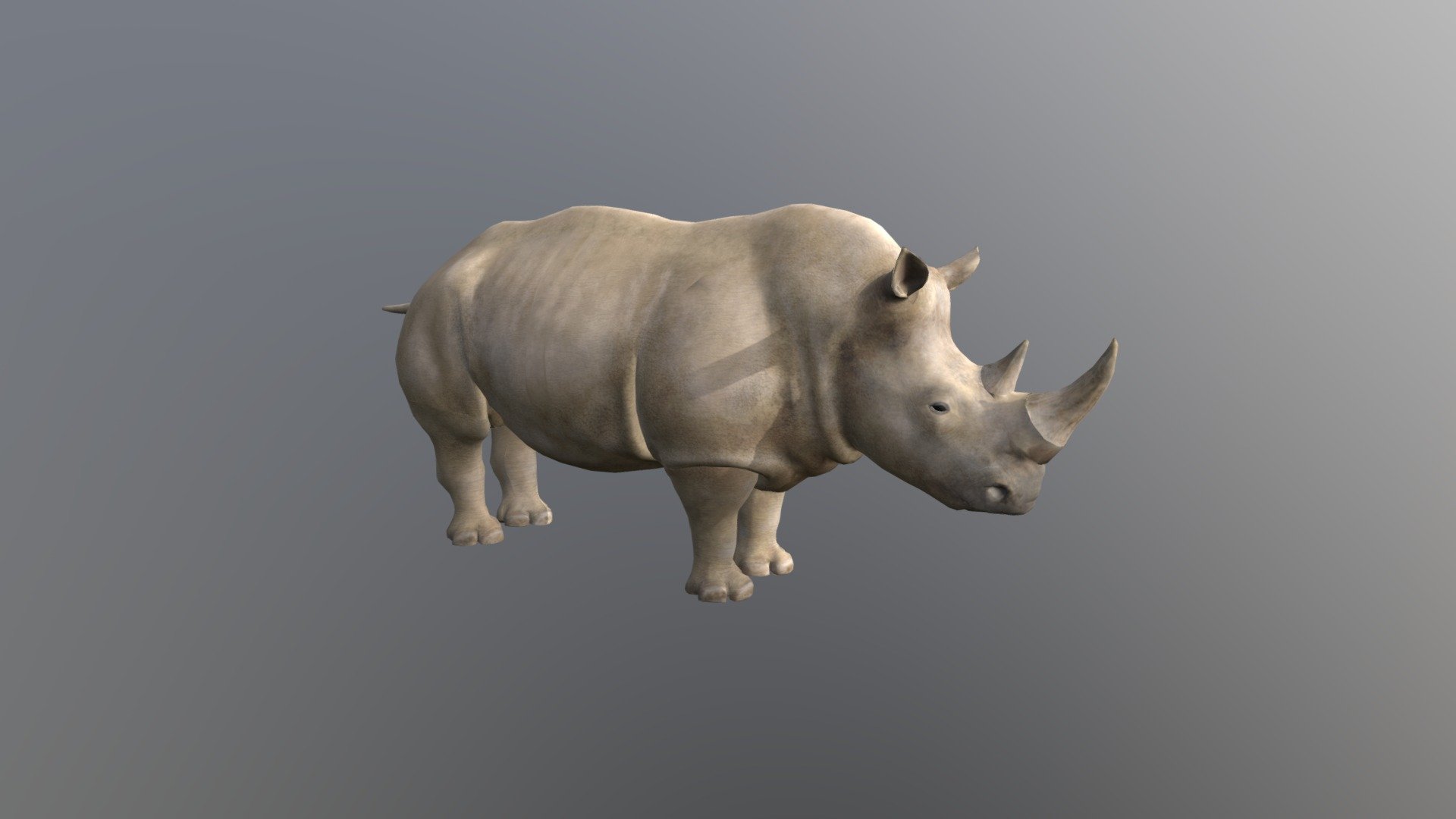 Realistic Rhino - 3D model by pighunt3r15 [1614688] - Sketchfab