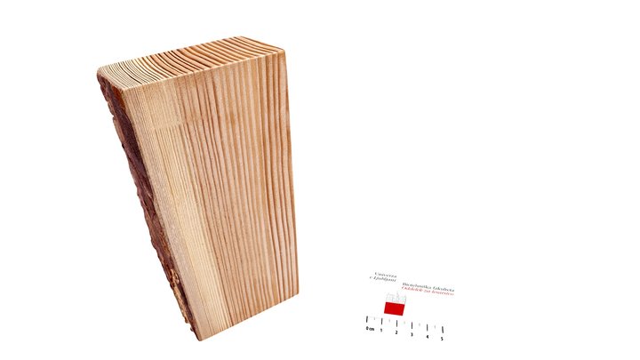 Wood Wood 3d Model Wood Material Seamless 3D Model Free Download