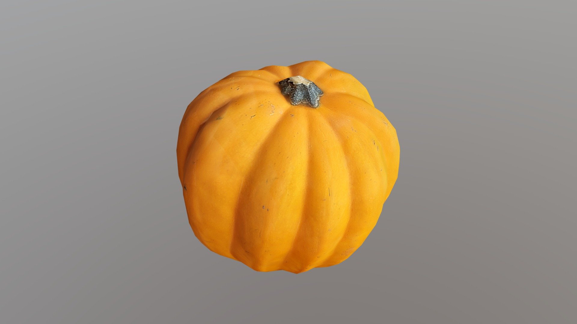 Squash - 3D model by tonyartisan [161b747] - Sketchfab