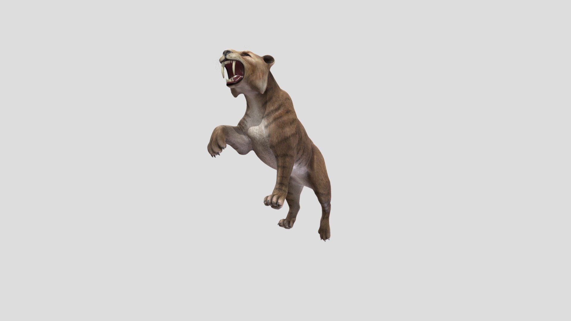 Harimau - Download Free 3D model by azahrul [162de62] - Sketchfab
