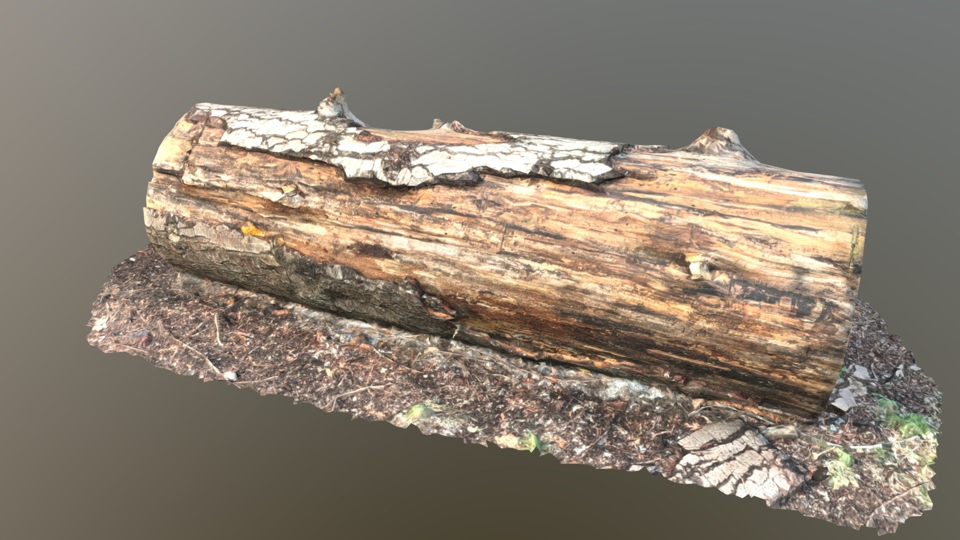 Forest Log - 3D model by sammyrules100 [1638760] - Sketchfab