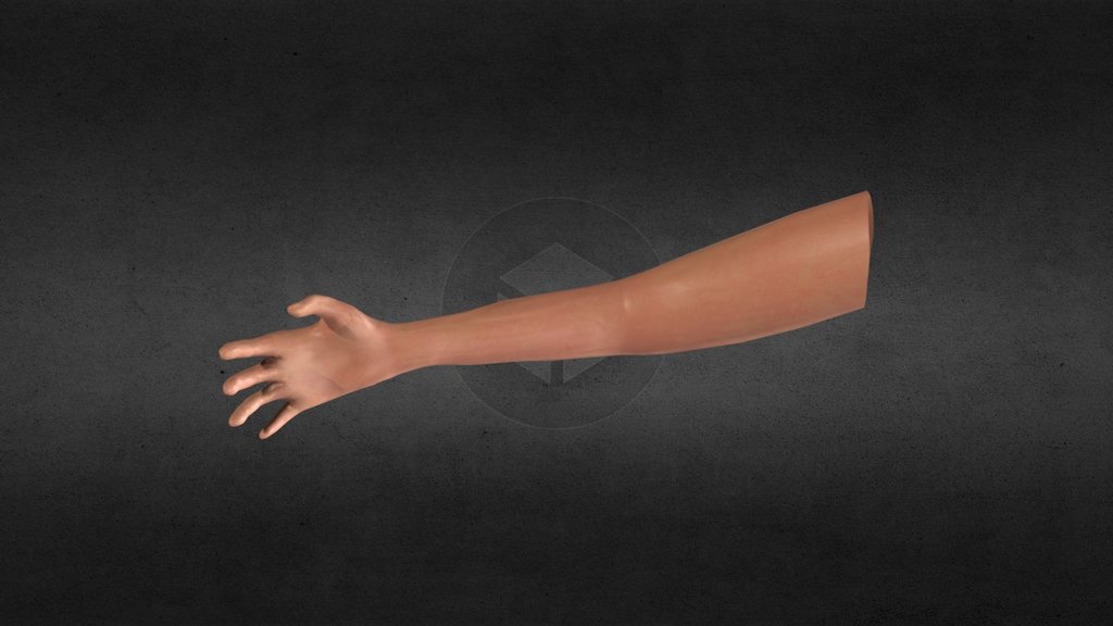 Arm - 3D model by japanesehedgehog [163a867] - Sketchfab