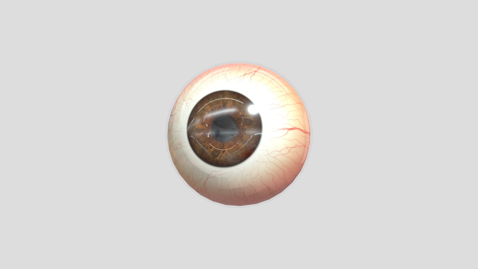 Occhio - 3D model by v.tria [163f13a] - Sketchfab