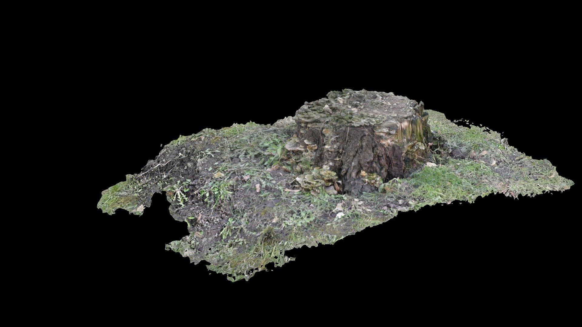Stuf scan - Download Free 3D model by interaction [1641316] - Sketchfab