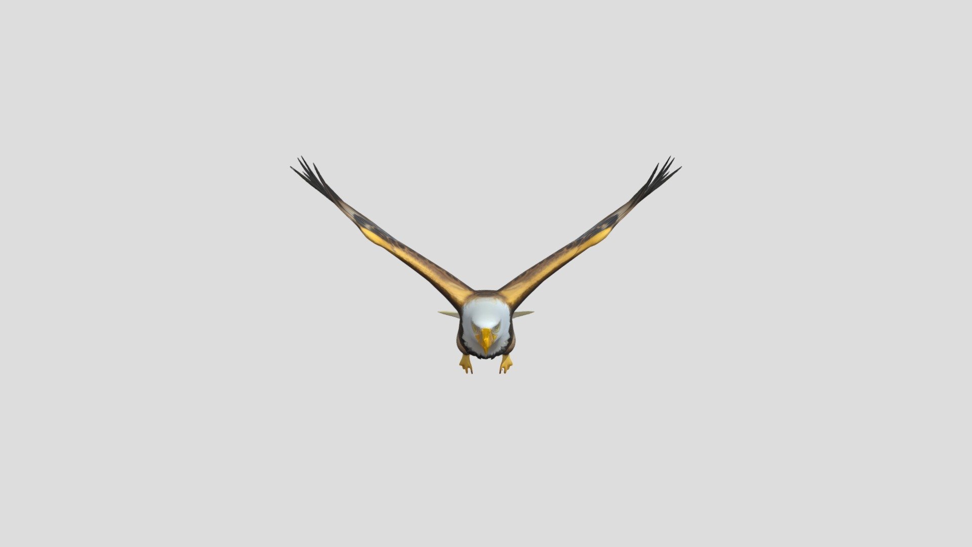 EAGLE ELANG TERBANG - Download Free 3D model by wasis007 [164614c ...