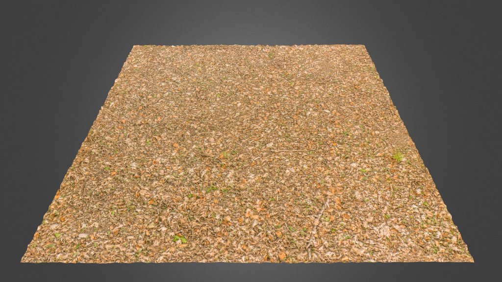 deciduous Forest Ground Materials - A 3D model collection by ...