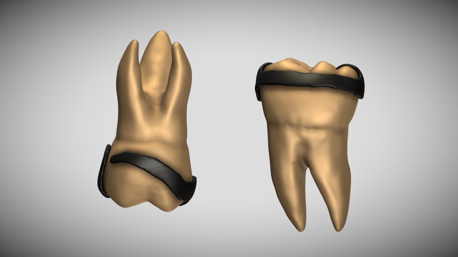 Ring Clasps - 3D model by Muhammad Nabeel (@muhammadnabeelshaesha ...