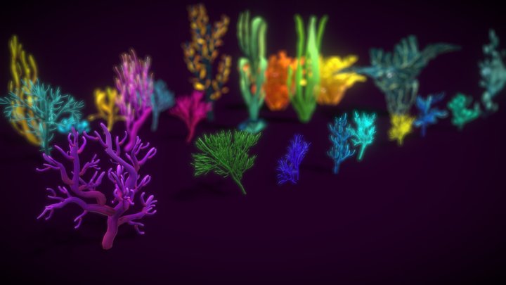 Seaweed 3D models - Sketchfab