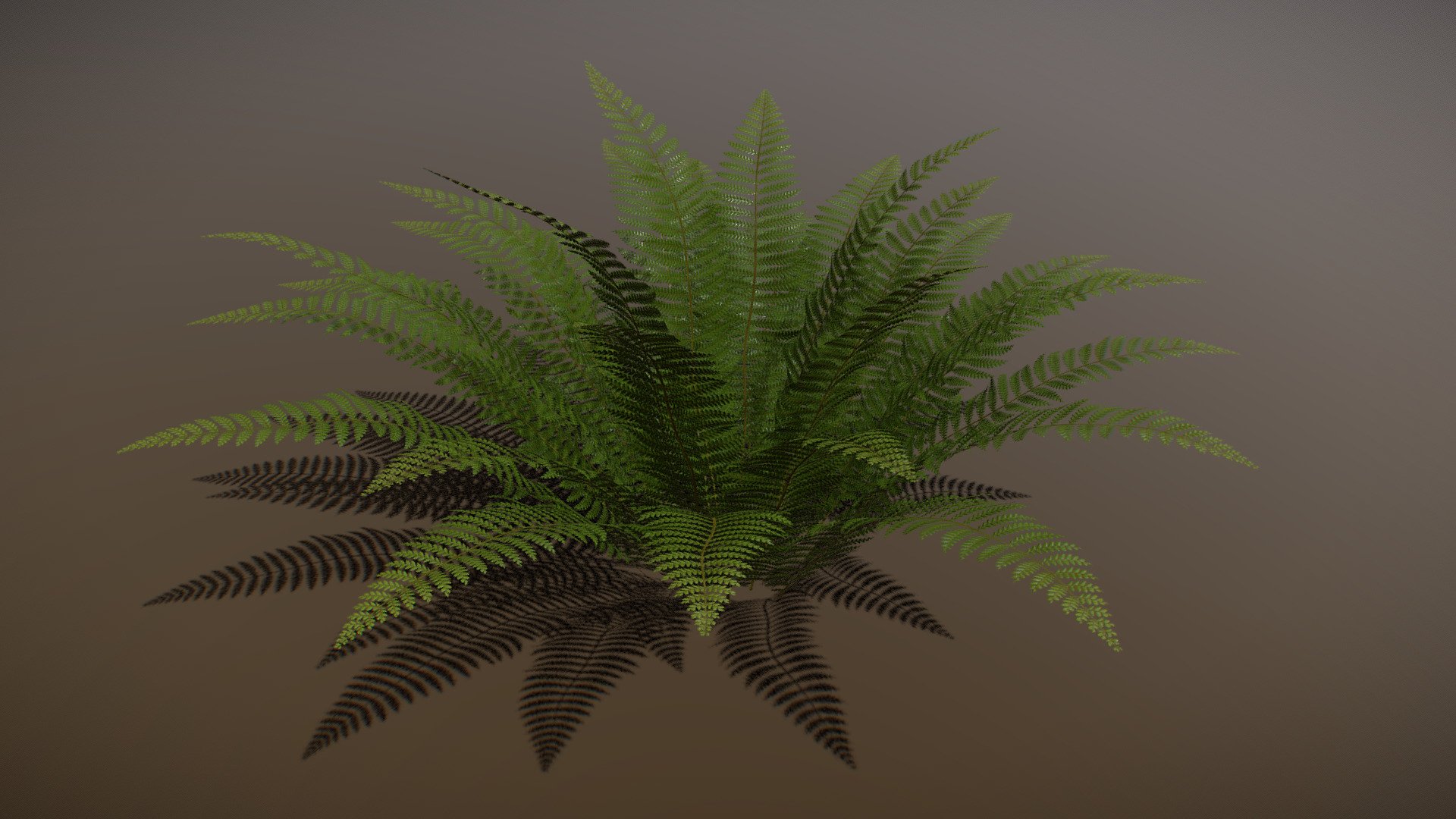 3D Fern - 01 - Download Free 3D model by SanForge Studio (@SanForge ...